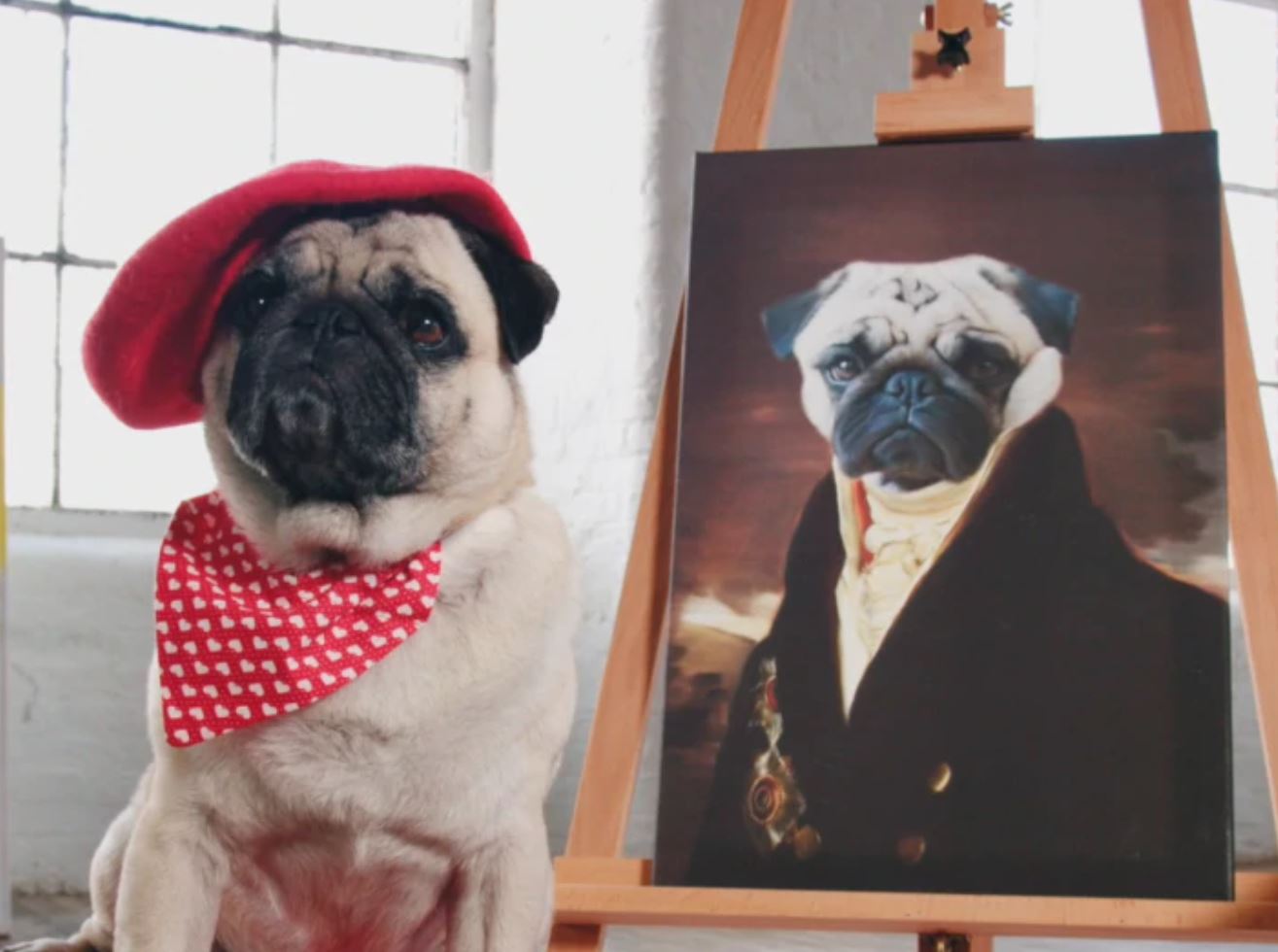 Tailor-Made gifts for pets | Crown & Paw-Puffuny