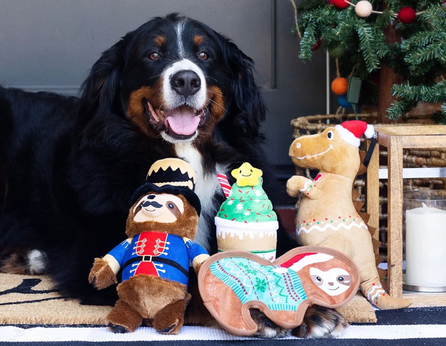 Fringe | Ideal Gift Basket for Pet Family-PUFFUNY