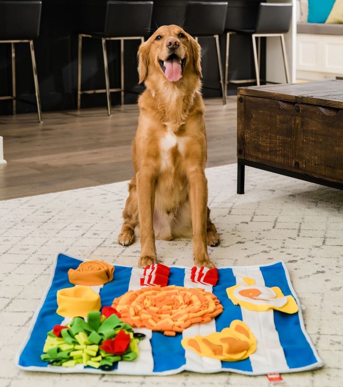 Injoya | The Joyful Pet Companion-PUFFUNY