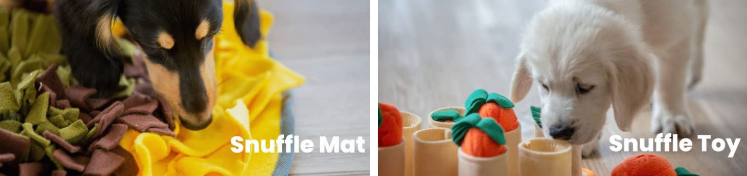 Injoya | The Joyful Pet Companion-PUFFUNY