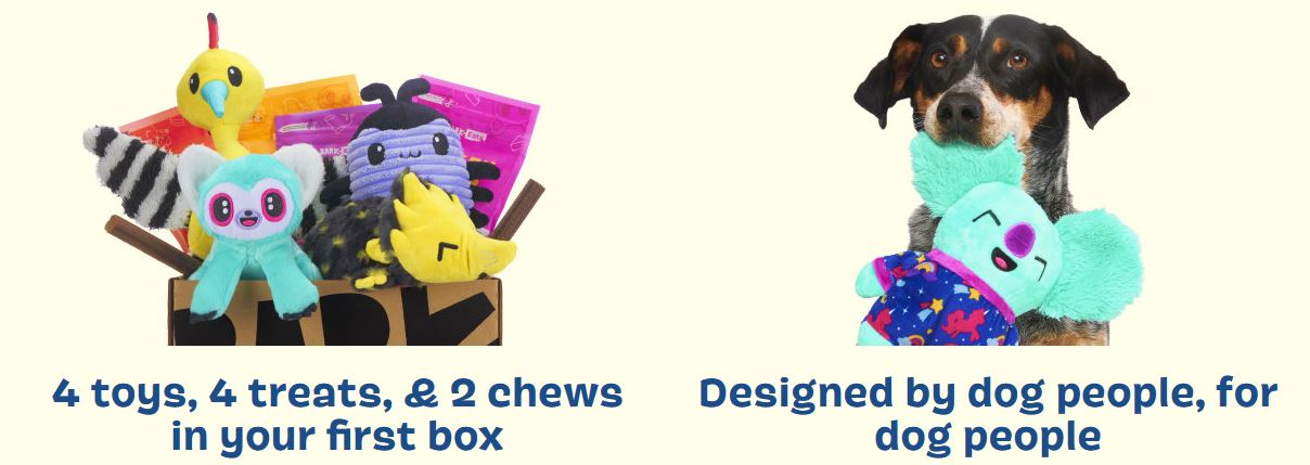 BarkBox Pet Subscription Box| Dog Happiness Delivered Monthly-PUFFUNY