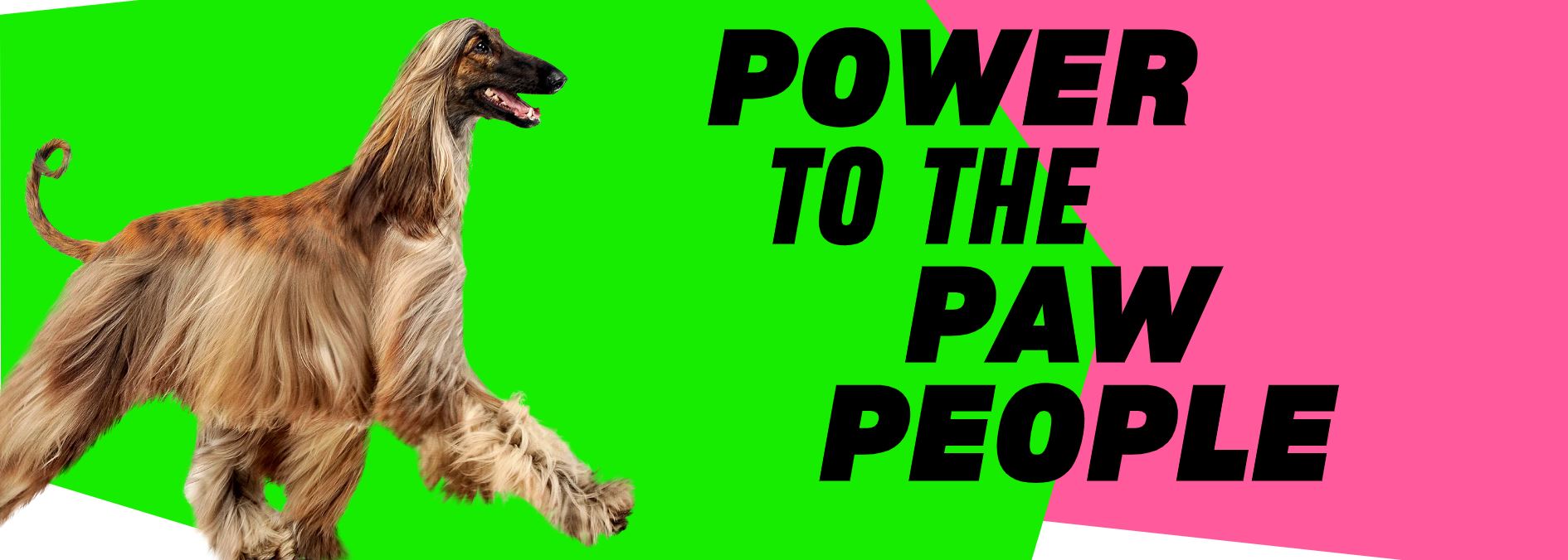 Grub Club Pets | Tasty, Sustainable Food for Heroic Pets-PUFFUNY
