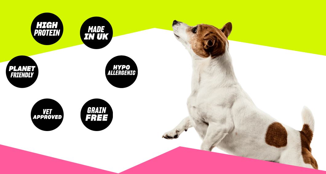 Grub Club Pets | Tasty, Sustainable Food for Heroic Pets-PUFFUNY