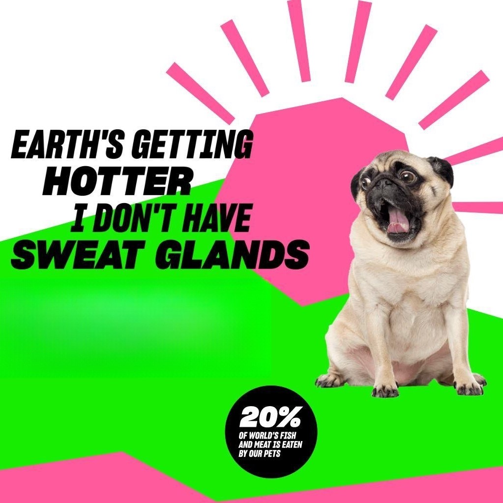 Grub Club Pets | Tasty, Sustainable Food for Heroic Pets-PUFFUNY
