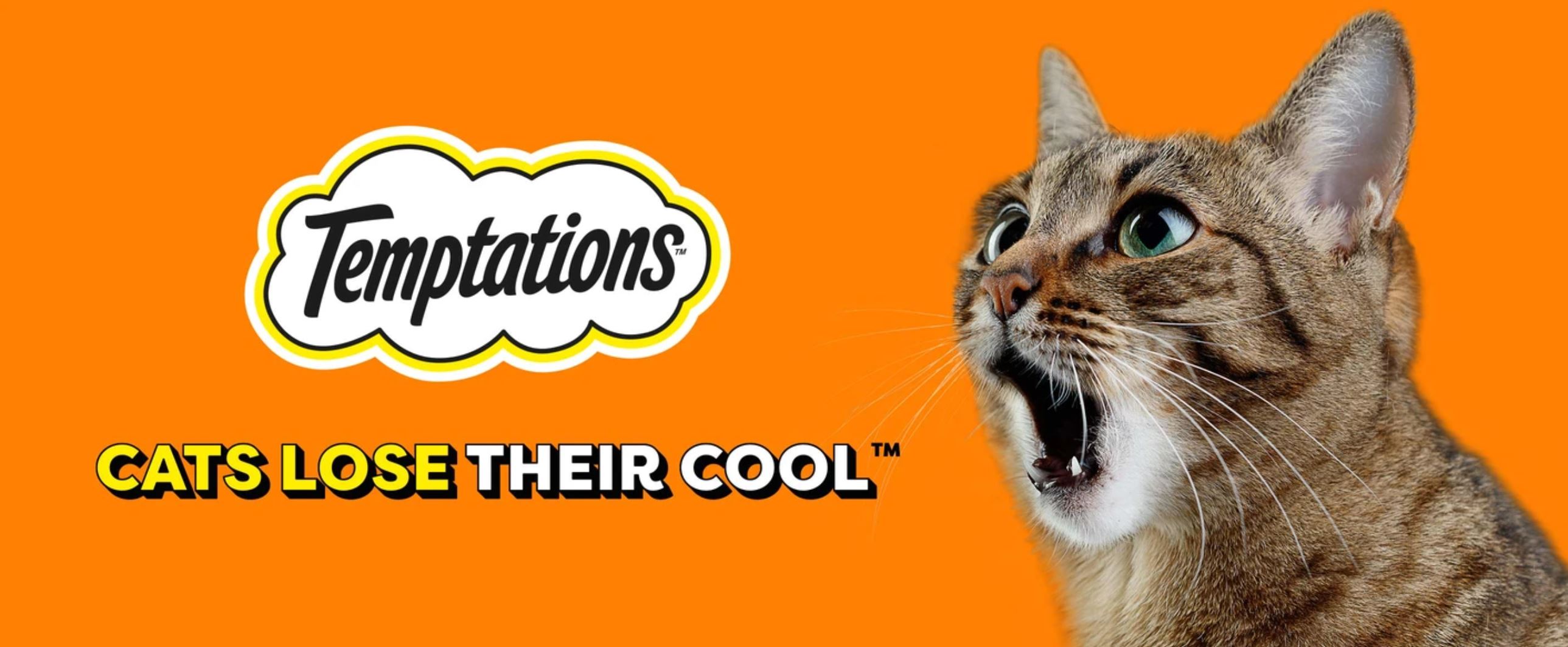 TEMPTATIONS™ | A Brand Cats Go Gaga For!-PUFFUNY