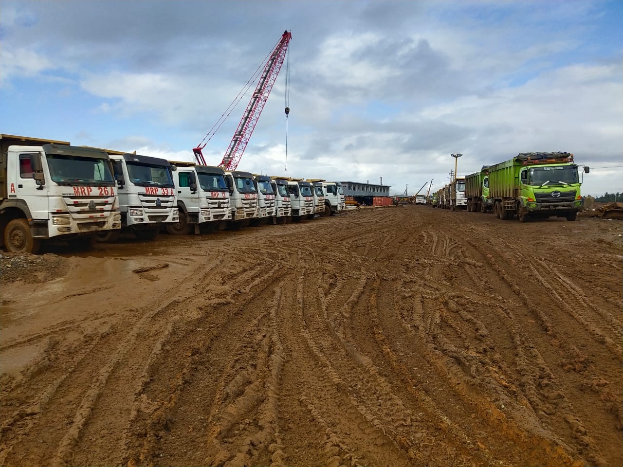 产品分类结果页