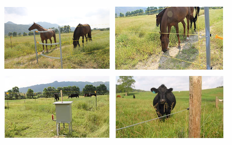 What is Electric Fence for Farm-official website