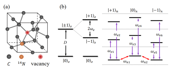 Quantum entanglement at room temperature! CSU's Du Jiangfeng team successfully entangles two ...