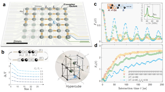 First observation of quantum many-body scar state using superconducting processor at Zhejiang ...