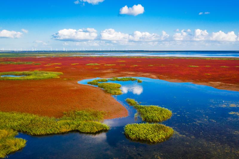 World Coastal Forum Wcf 2023 Conference