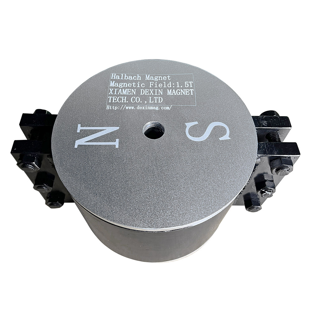 Halbach Array Permanent Magnets-Dexinmag