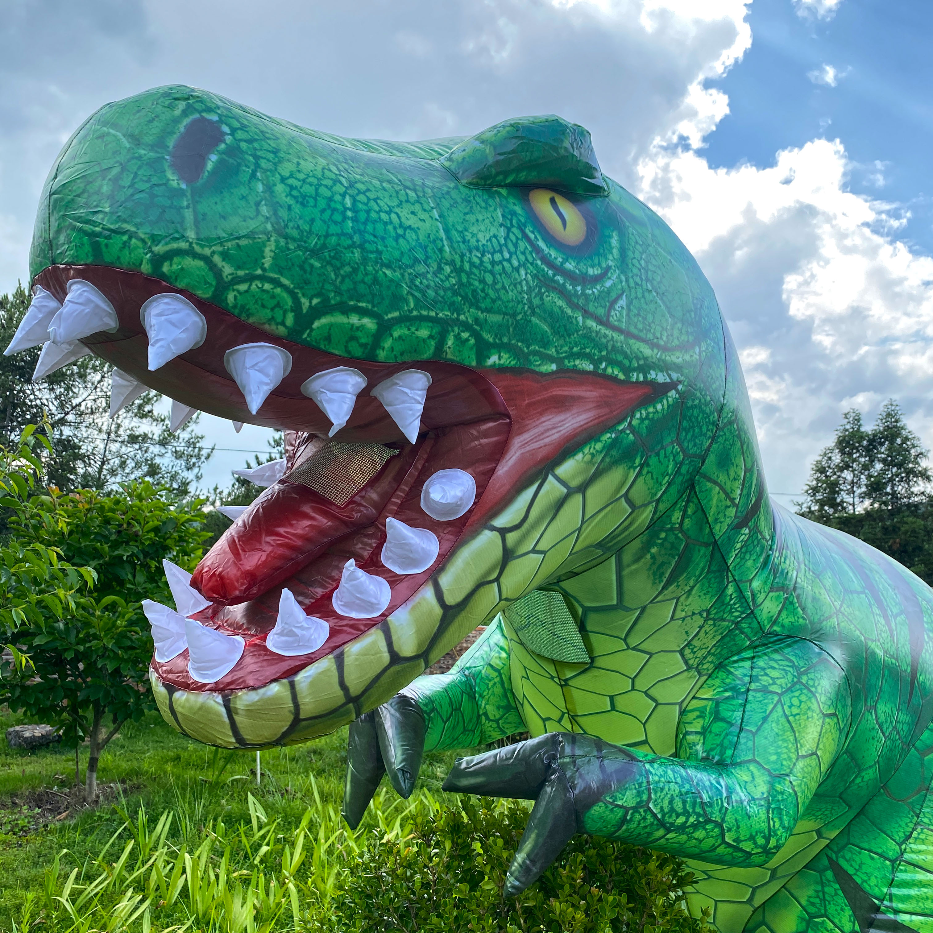 YiYangXing dinosaur costume