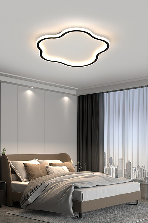 Alead Lighting-Ceiling Light