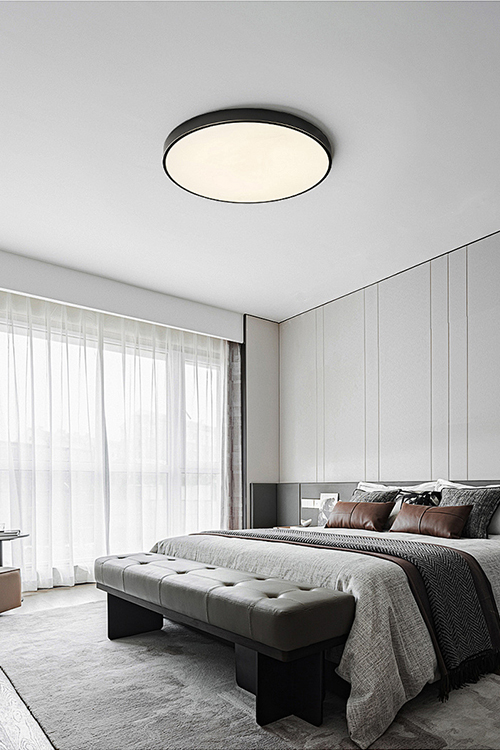 Alead Lighting-Ceiling Light
