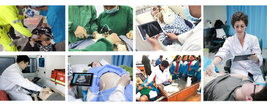 C30L Uprobe 3 Linear Color Doppler-Handheld Ultrasound Manufacturer-Healson